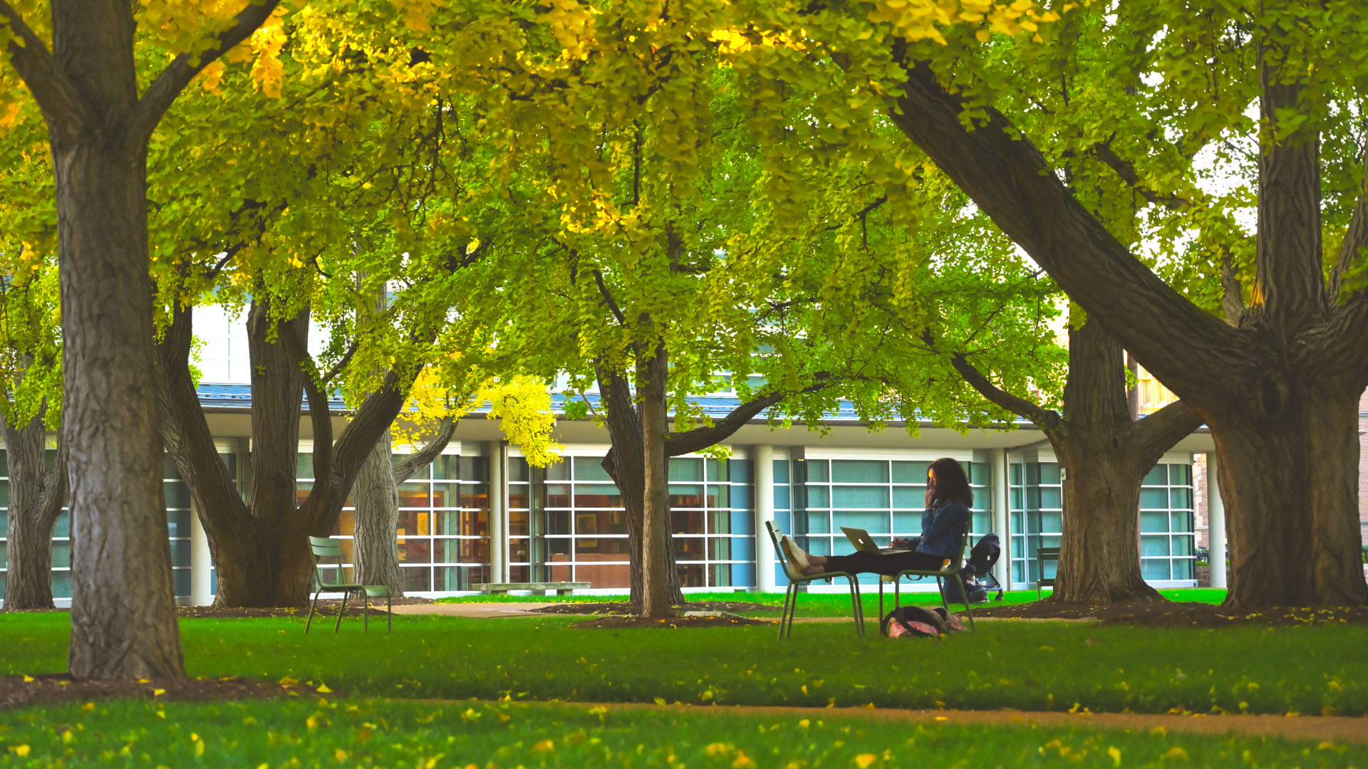 News & Stories - University Advancement - Washington University in St ...